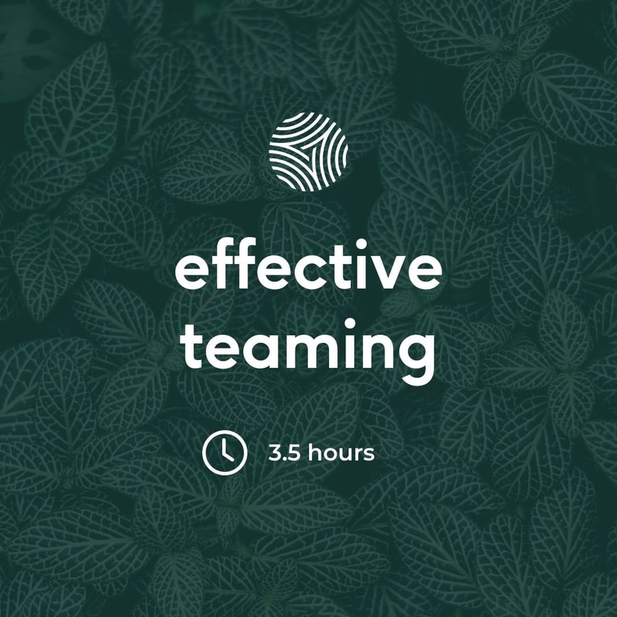 Emotional Intelligence Training | SIY Global