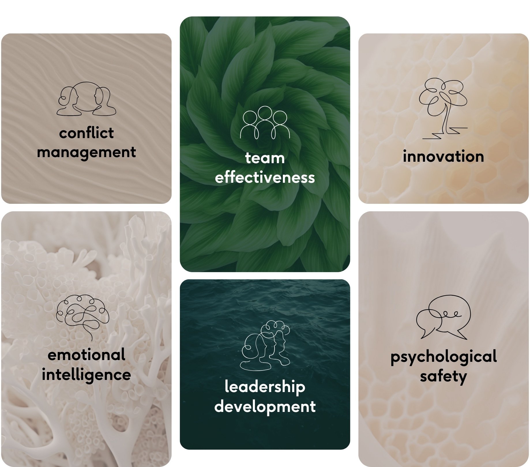 Emotional Intelligence Training | SIY Global